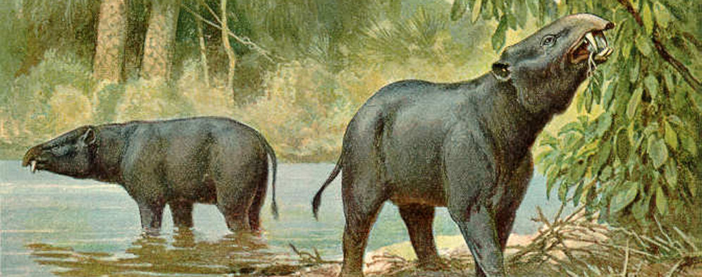 There’s no place like home – for early humans - Anthropology and ...